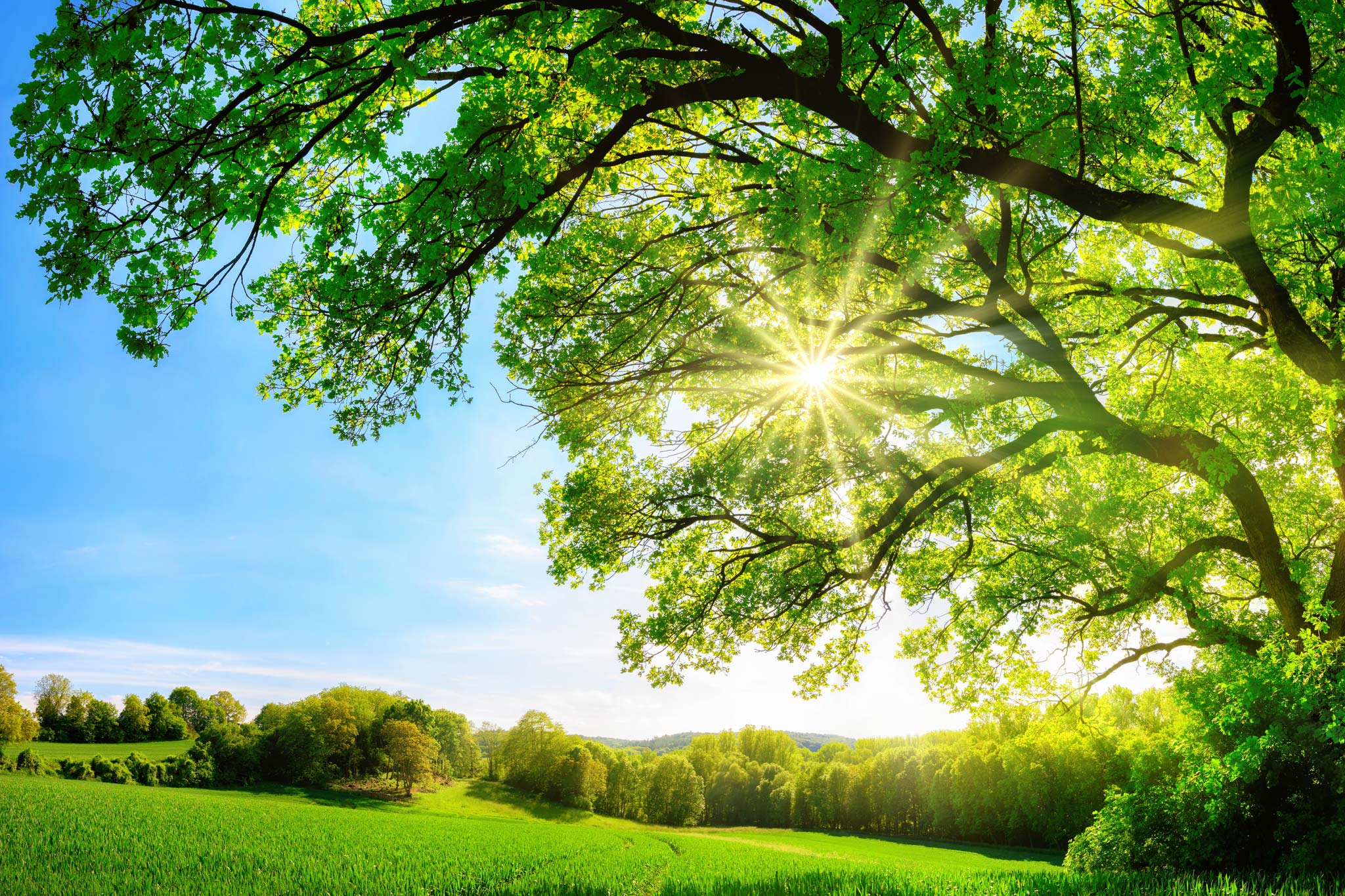 Human Rights Policy｜SUSTAINABILITY - Sun Frontier Group